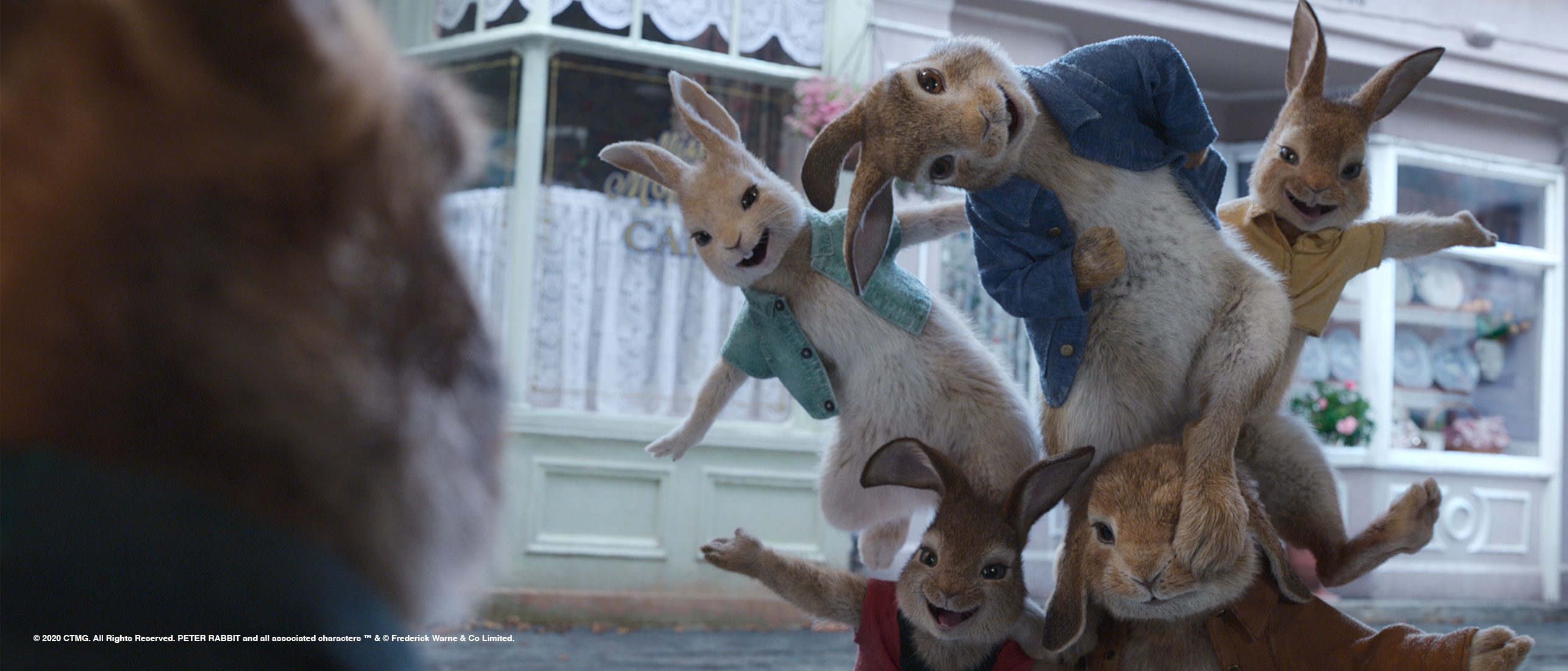 PETER RABBIT™ 2-MOVIE COLLECTION | Sony Pictures Entertainment