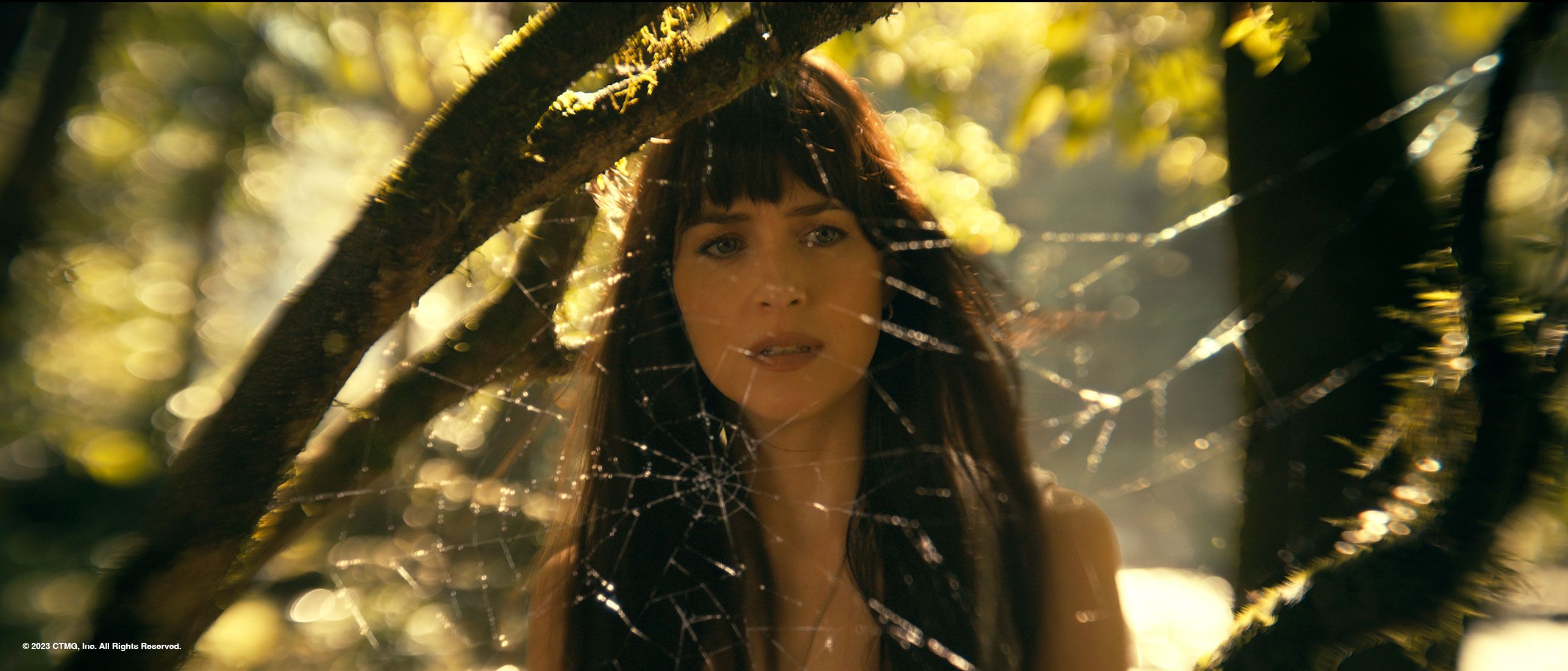 MADAME WEB | Sony Pictures Entertainment