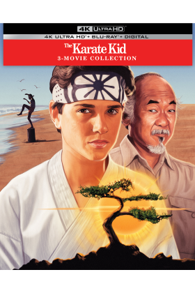 THE KARATE KID 4K ULTRA HD™ COLLECTION | Sony Pictures Entertainment
