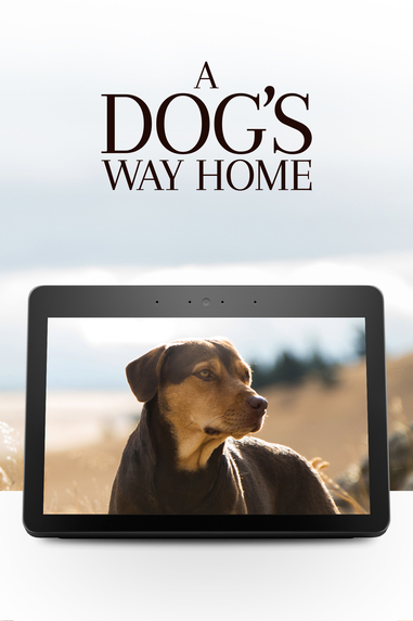 SONY PICTURES PRESENTS: GAMES | Sony Pictures Entertainment